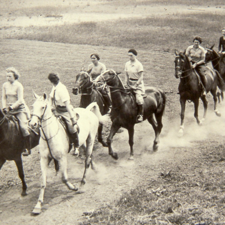 Westbrook College History Collection | University History Collections